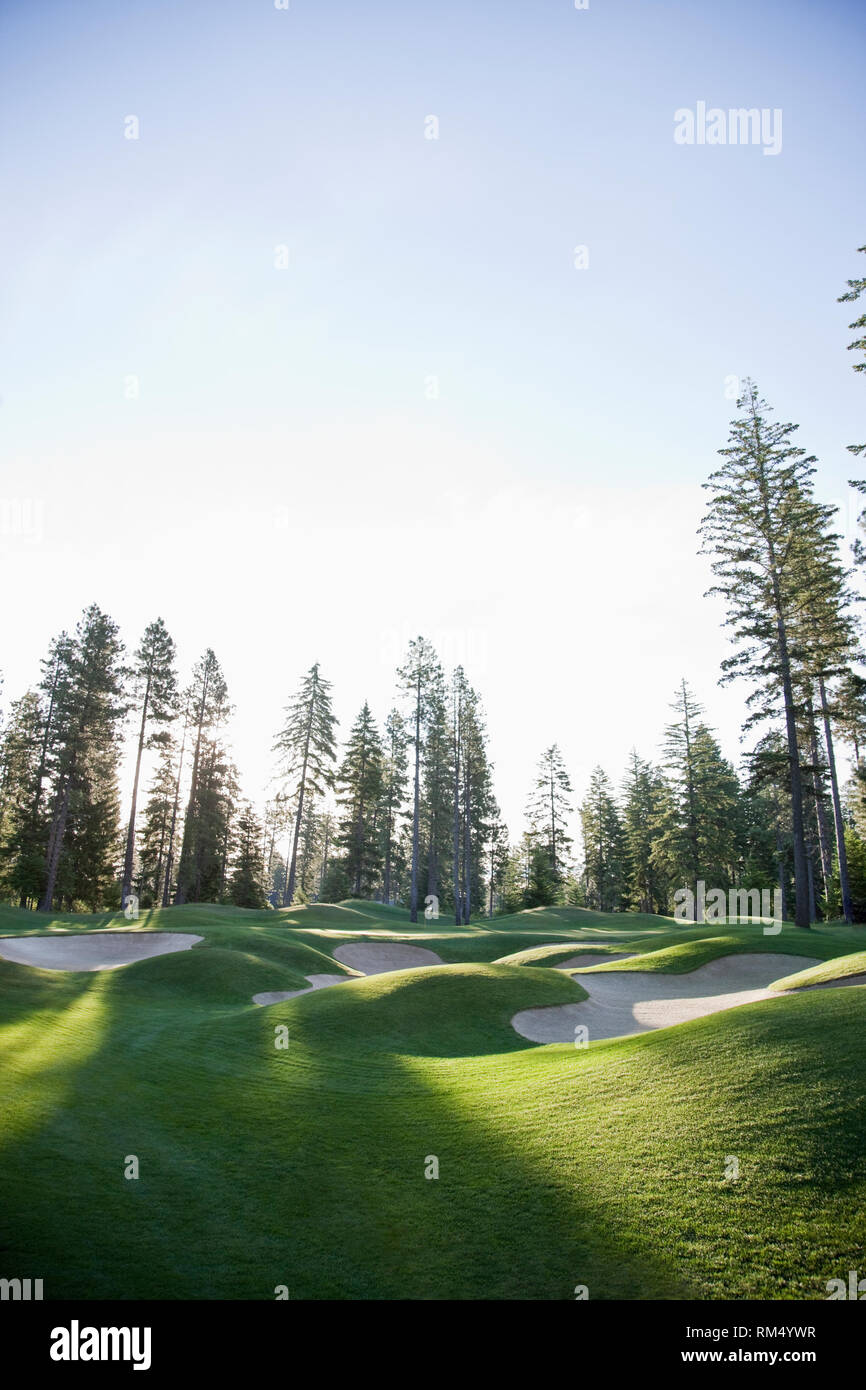 Trees surrounding golf course with sandtraps Stock Photo - Alamy
