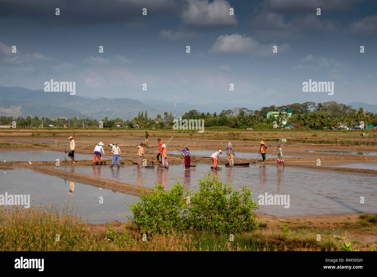 Cambodia, Kampot Province, Kampot, Tuek Chhou, Salt Fields, women ...