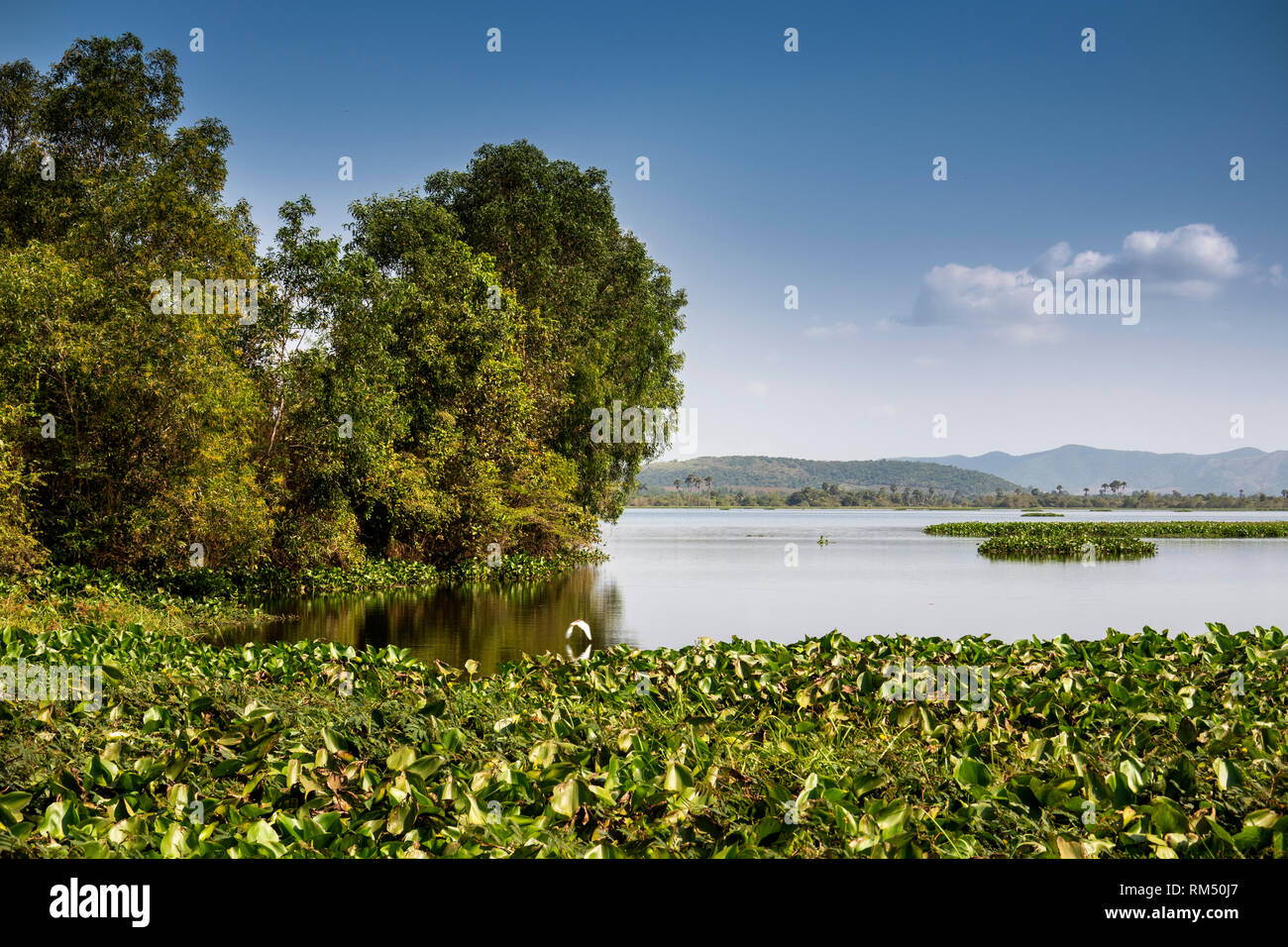 Cambodia, Kampot Province, Tuek Chhou, Kampot, banks of Breteak Krola ...