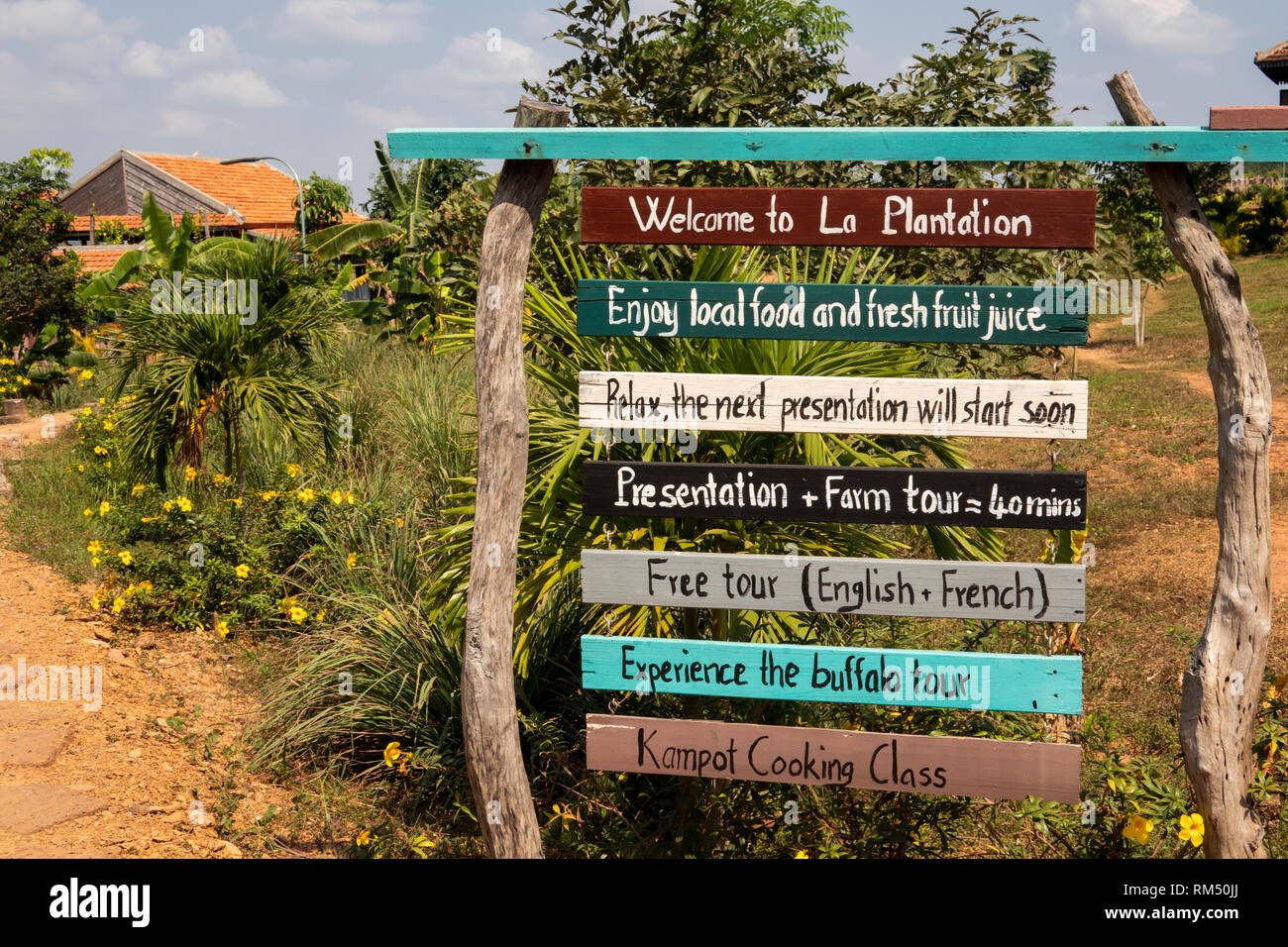 Cambodia, Kampot Province, Kampot, Bosjheng, Kon Sat, agriculture, La ...
