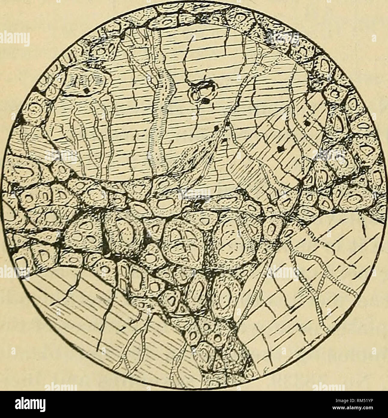 Diabases hi-res stock photography and images - Alamy