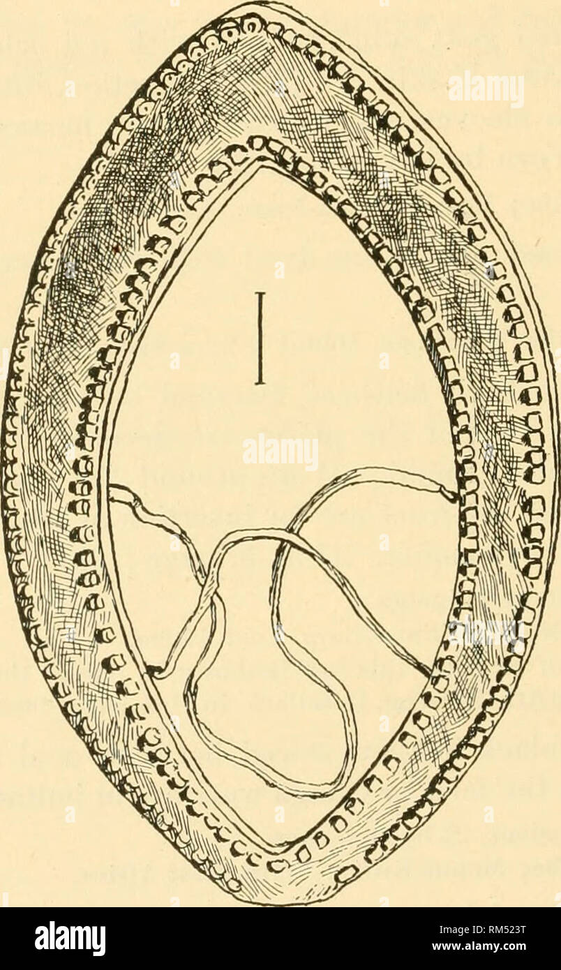 Wachaga hi-res stock photography and images - Alamy