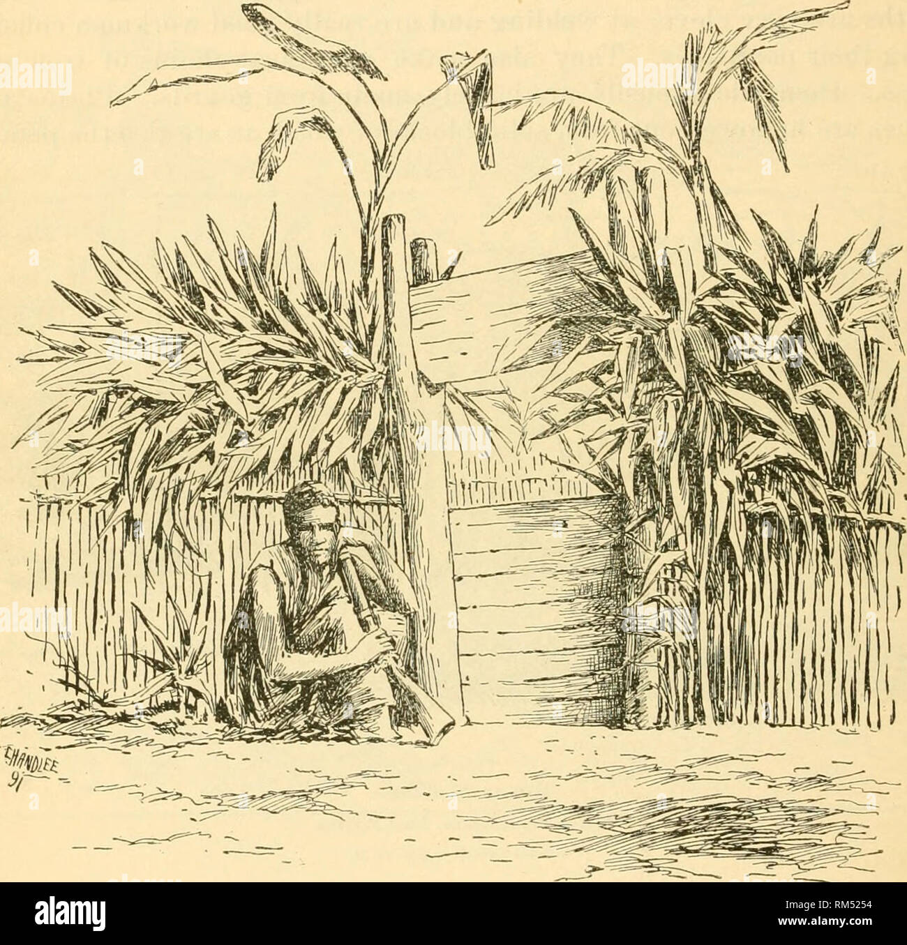 National cus hi-res stock photography and images - Alamy