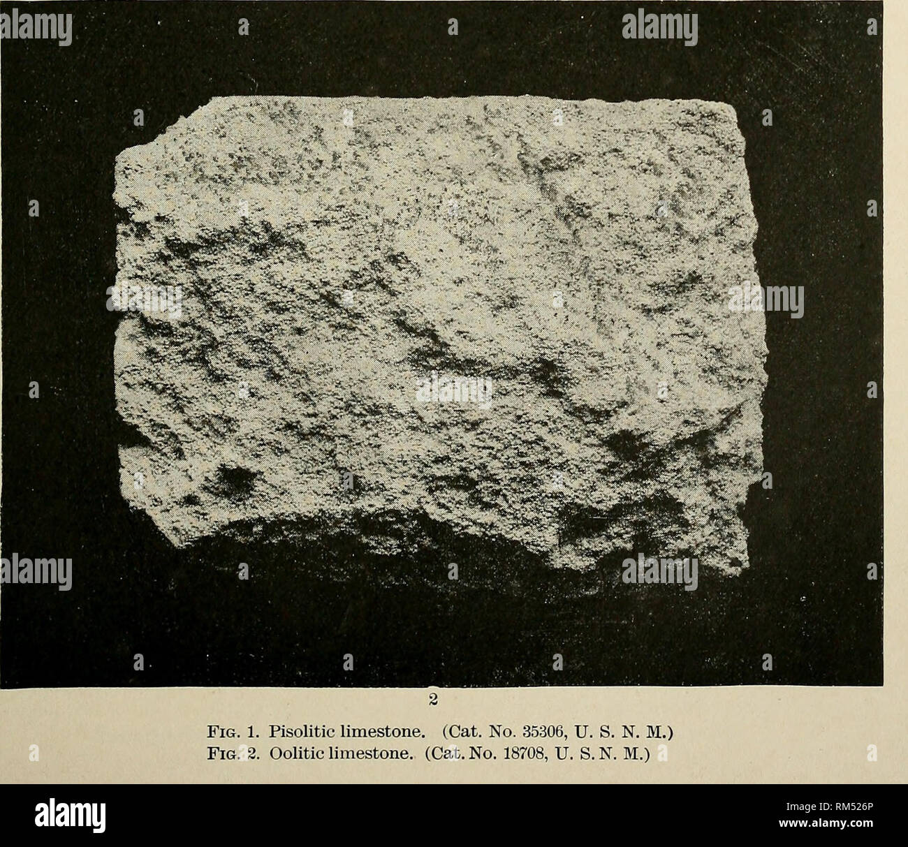 Pisolitic hi-res stock photography and images - Alamy