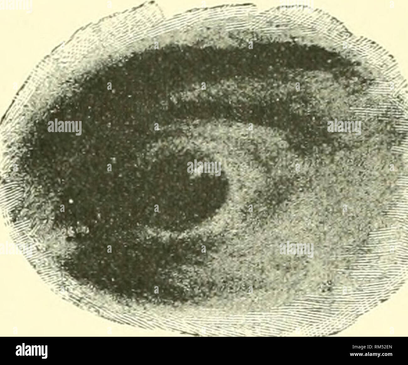 Magnesium flash hi-res stock photography and images - Alamy