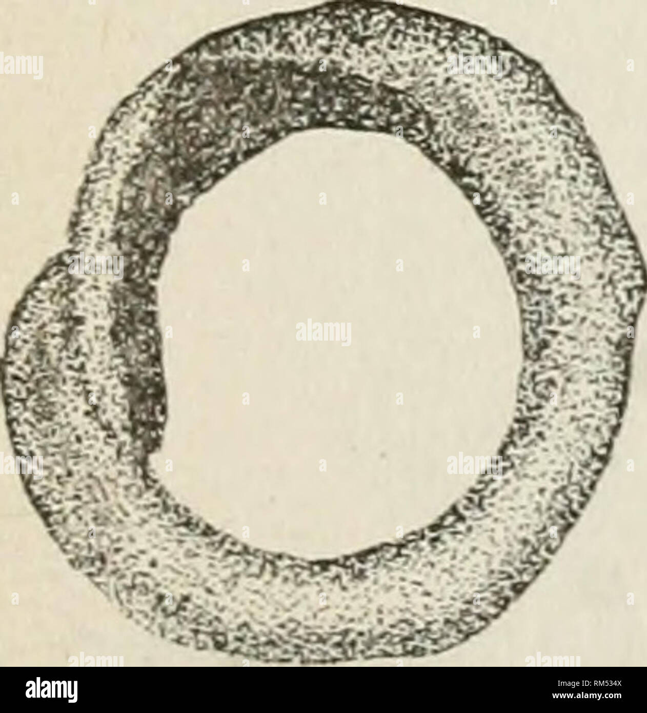 15 april 1871 hi-res stock photography and images - Alamy