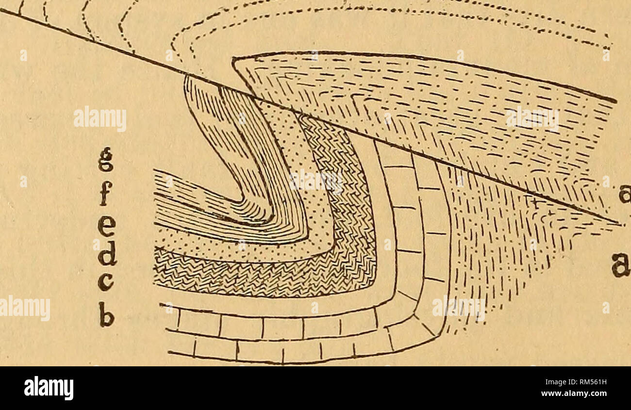 Overthrust fold hi-res stock photography and images - Alamy