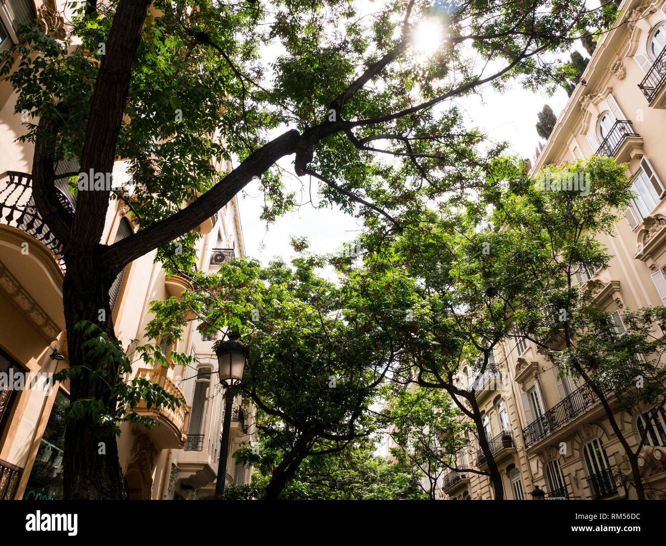 very nice palaces in Valencia city, Spain Stock Photo - Alamy