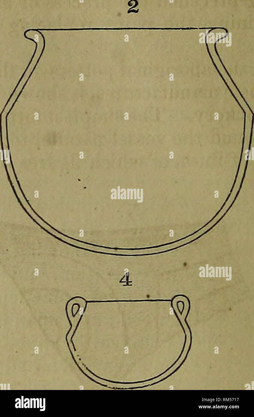 Notched ears hi-res stock photography and images - Alamy