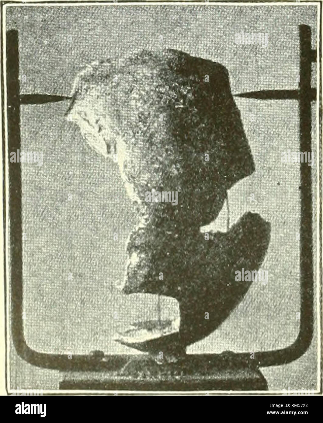 Gibraltar i skull hi-res stock photography and images - Alamy