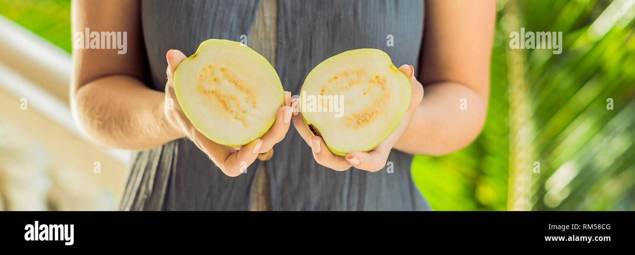 guava in beautiful female hands on a green background. BANNER, long ...