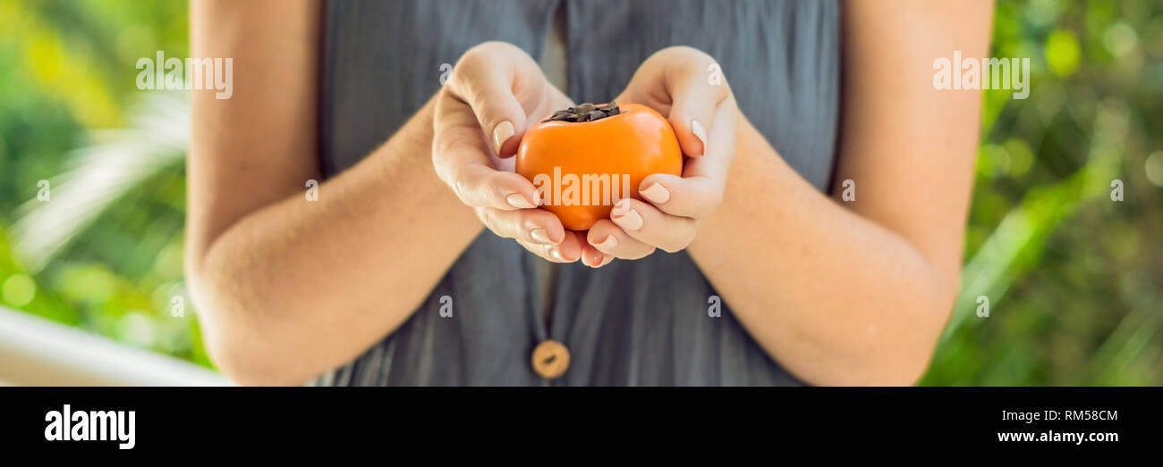 Persimmon in beautiful woman hands on a green background BANNER, long ...