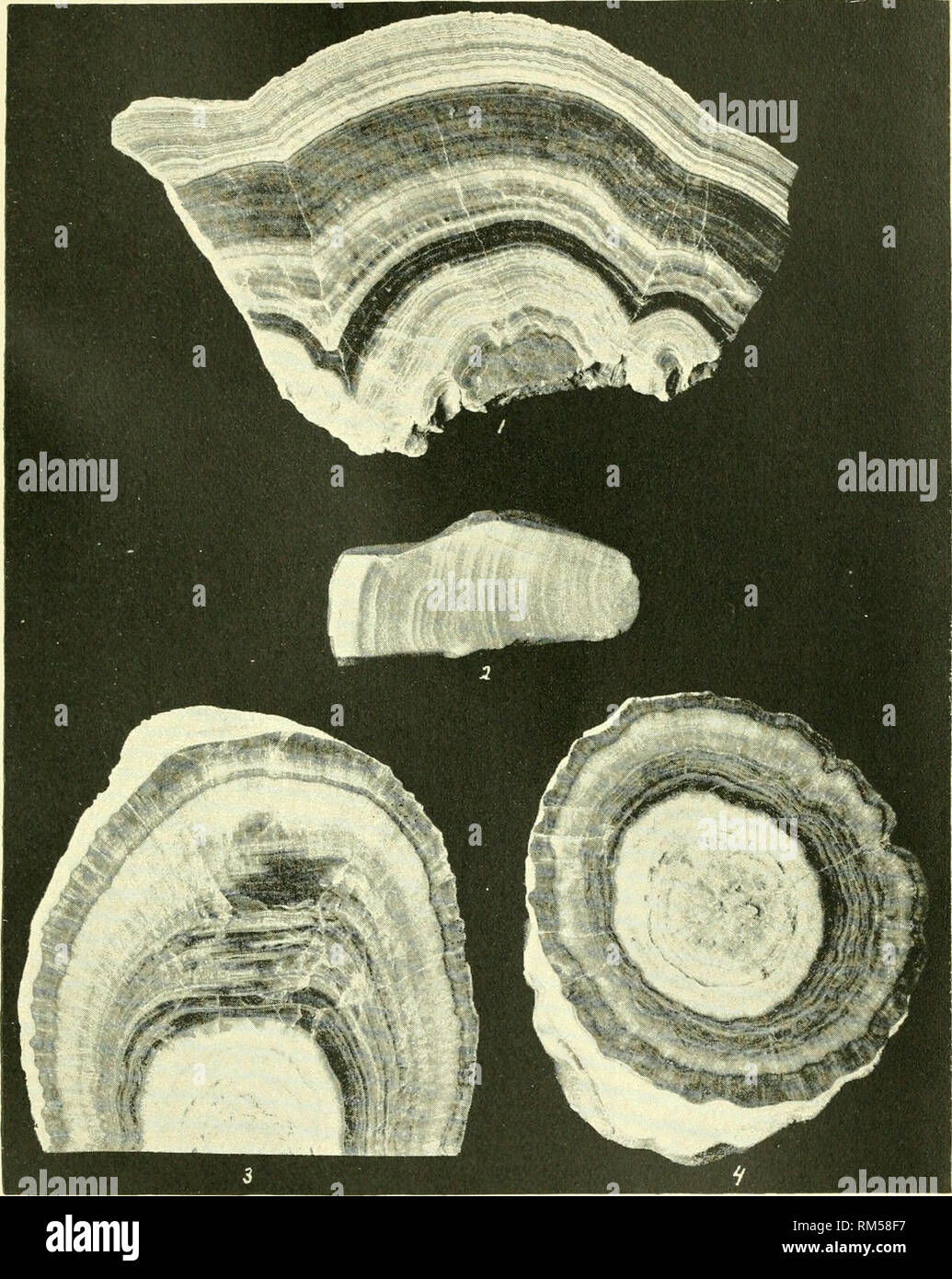 Stalagmite plate hi-res stock photography and images - Alamy