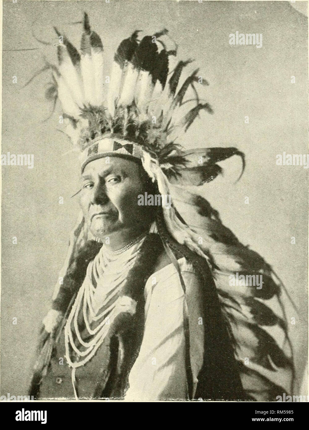Nez perce tribe hi-res stock photography and images - Alamy