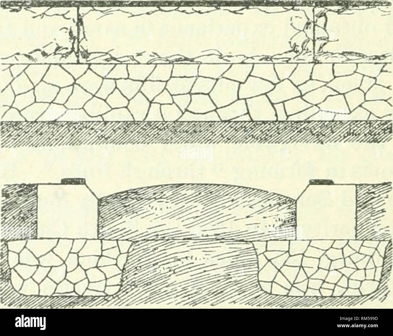 . Annual report of the Board of Regents of the Smithsonian Institution ...