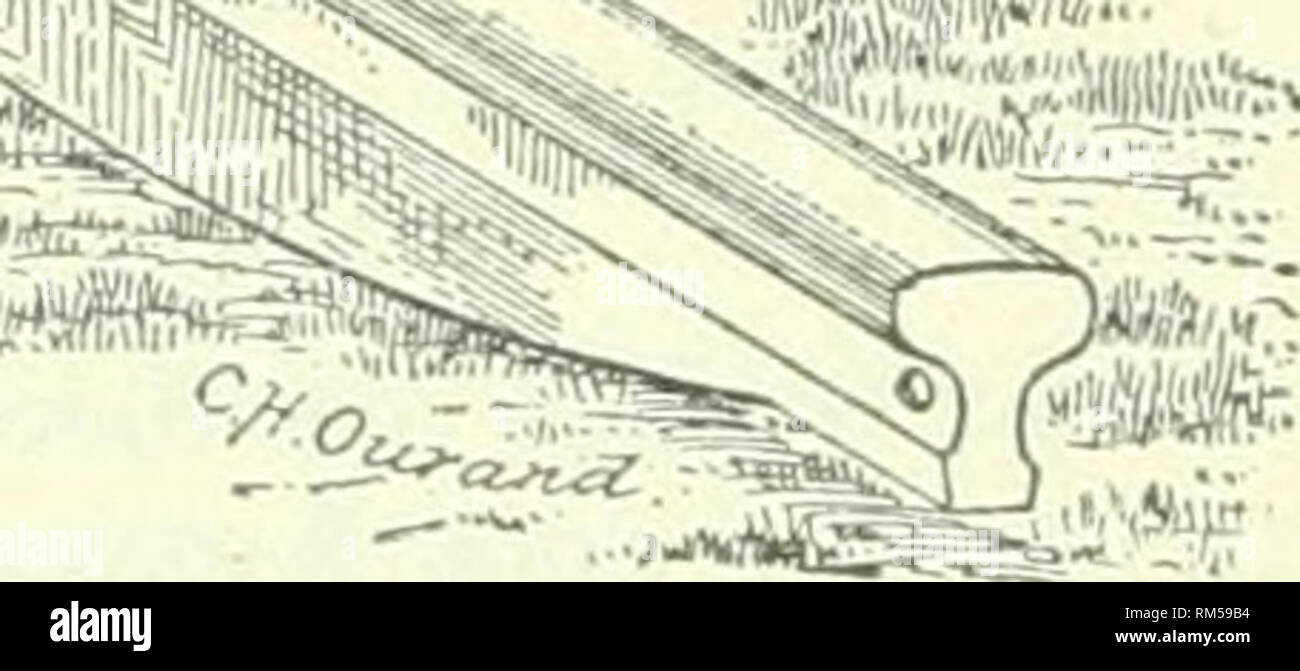 Fish belly rail hi-res stock photography and images - Alamy