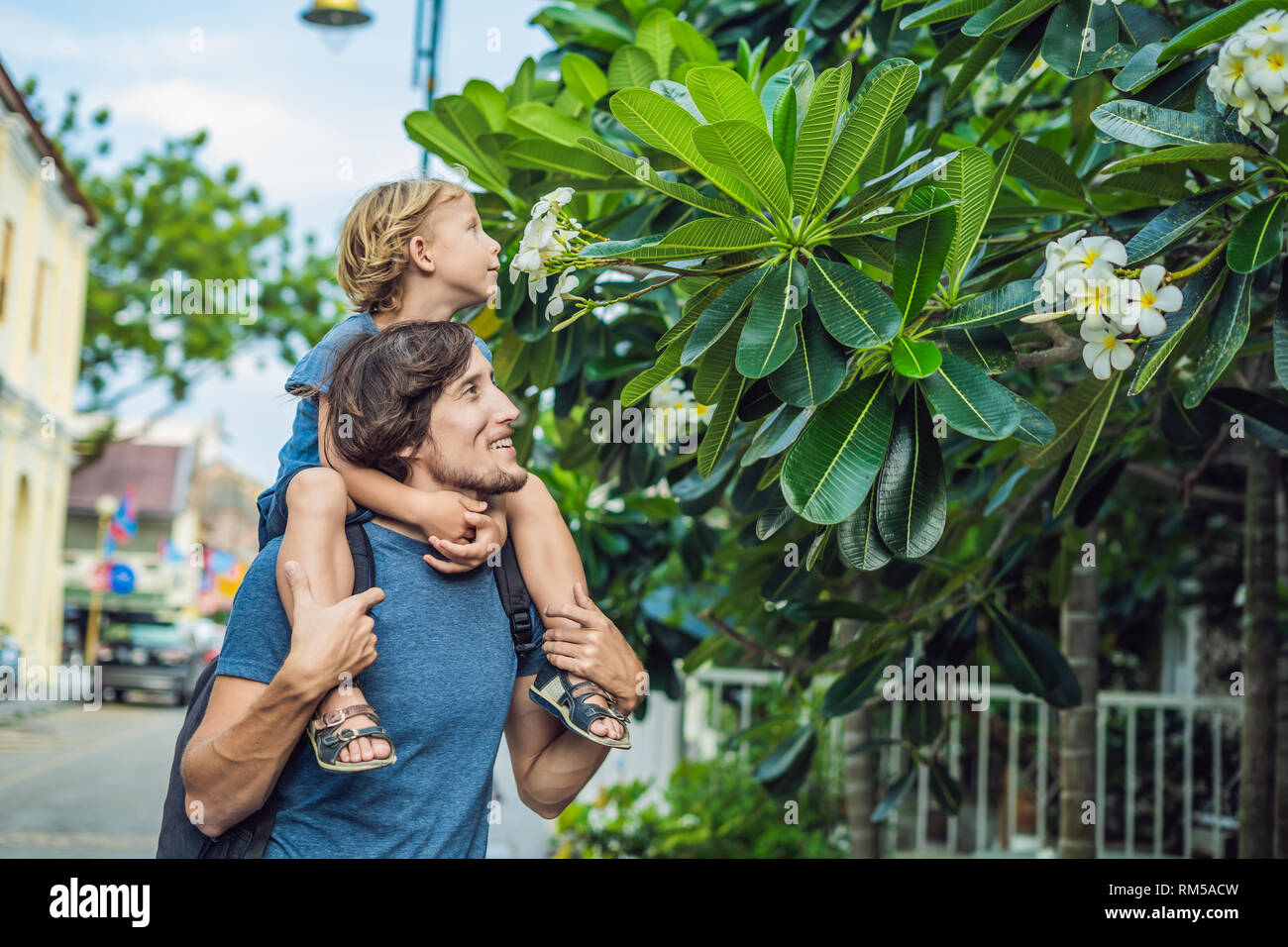 Dad and son sniffing group of yellow white flowers Frangipani, Plumeria ...