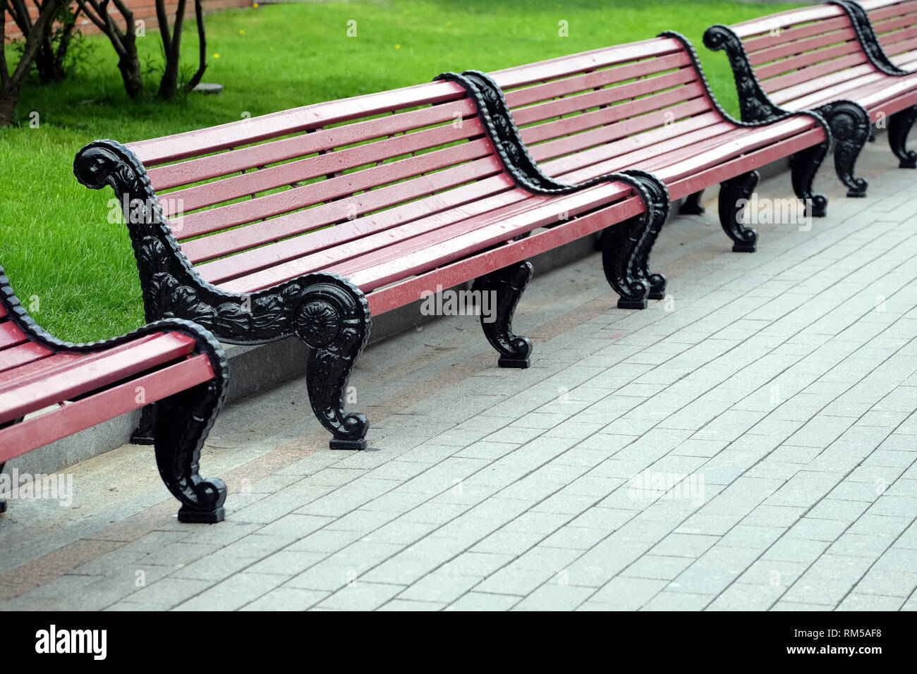 Row of empty brown wooden benches in city park in spring diagonal view ...
