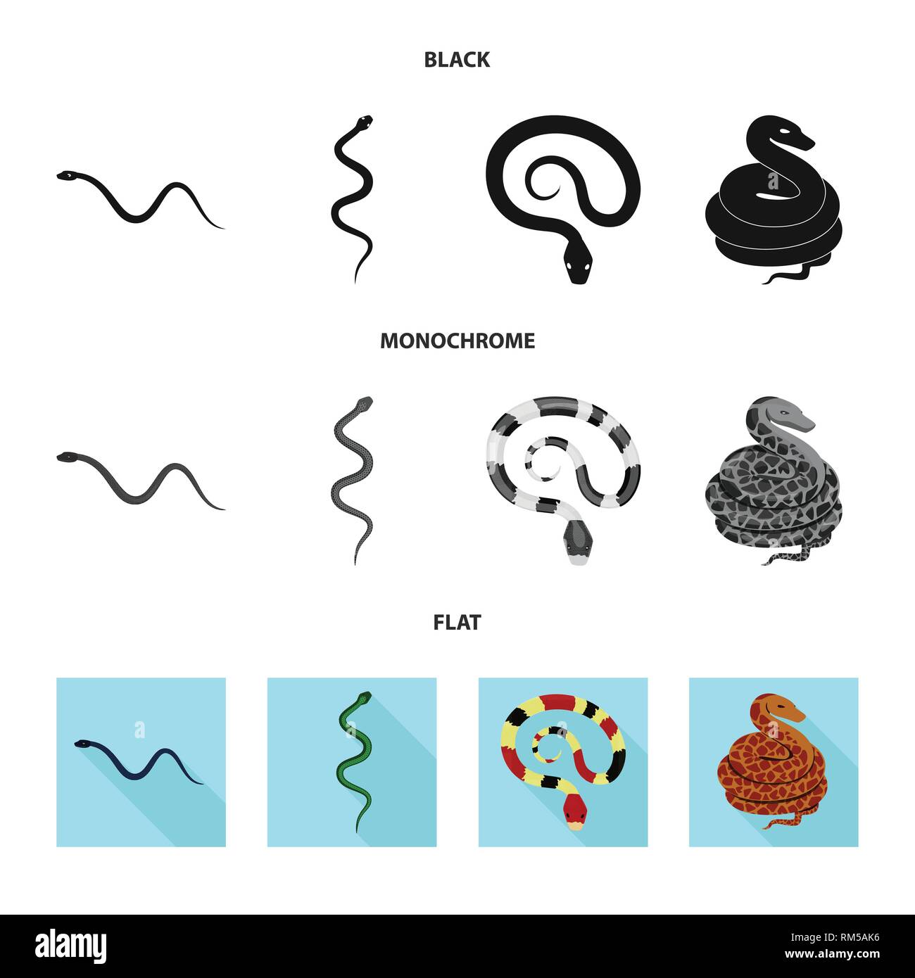 snake,viper,tail,coral,python,spiral,red,animal,forest,black,leather ...