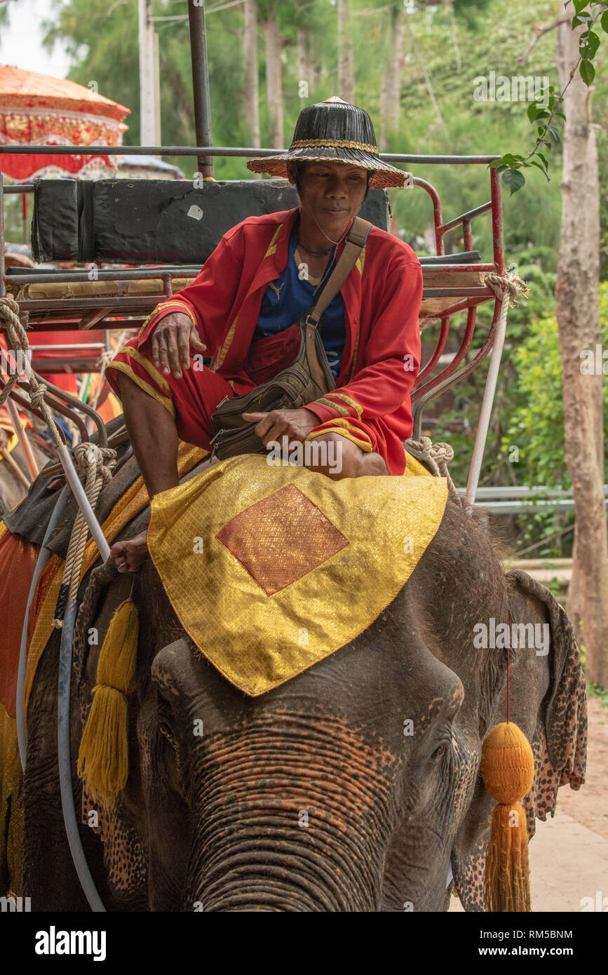 Mahout sitting on elephant with red howdah Stock Photo - Alamy