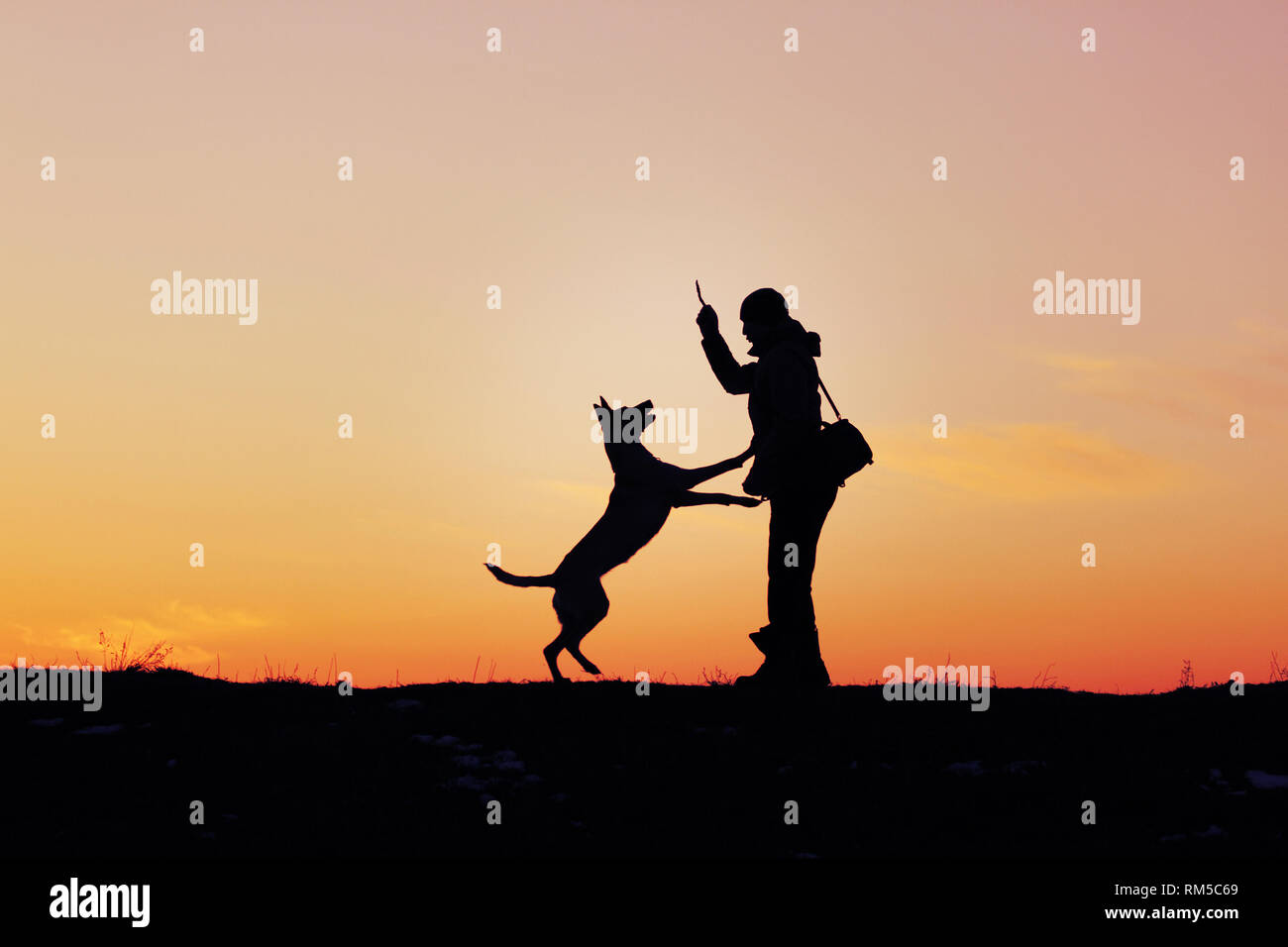 Silhouette Dog Jumping High Resolution Stock Photography and Images - Alamy