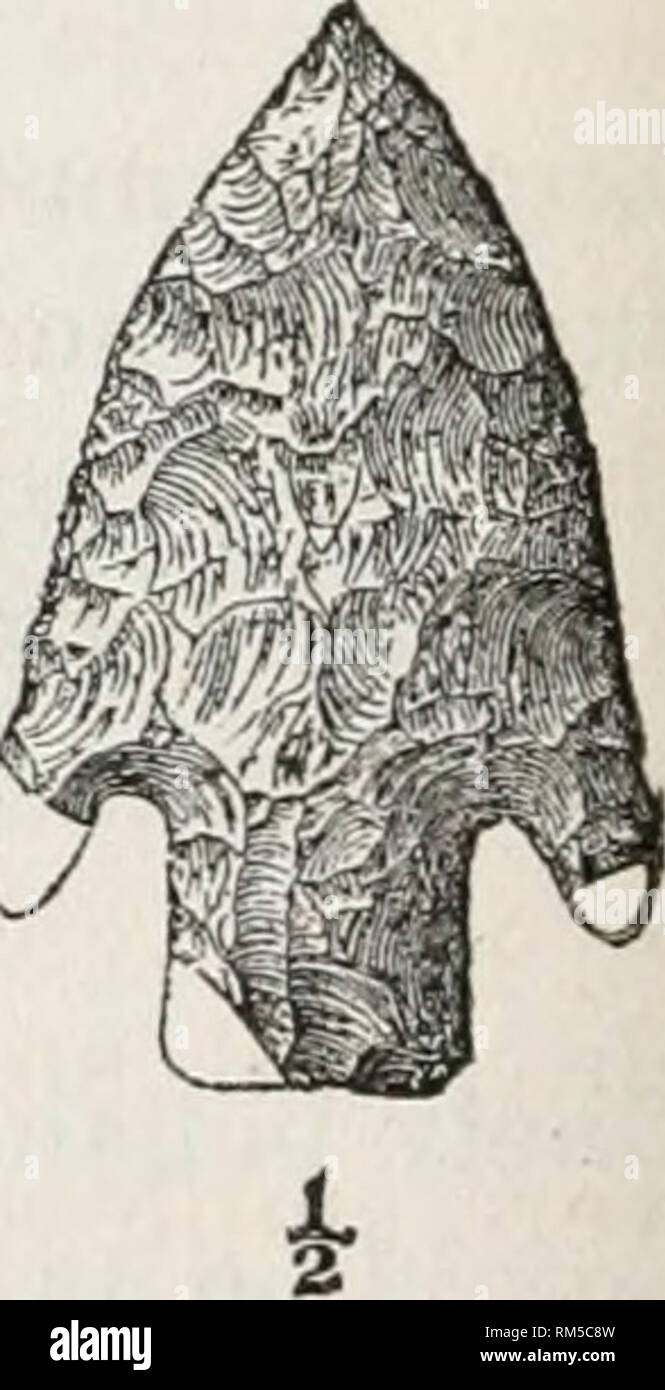 Awl head hi-res stock photography and images - Alamy