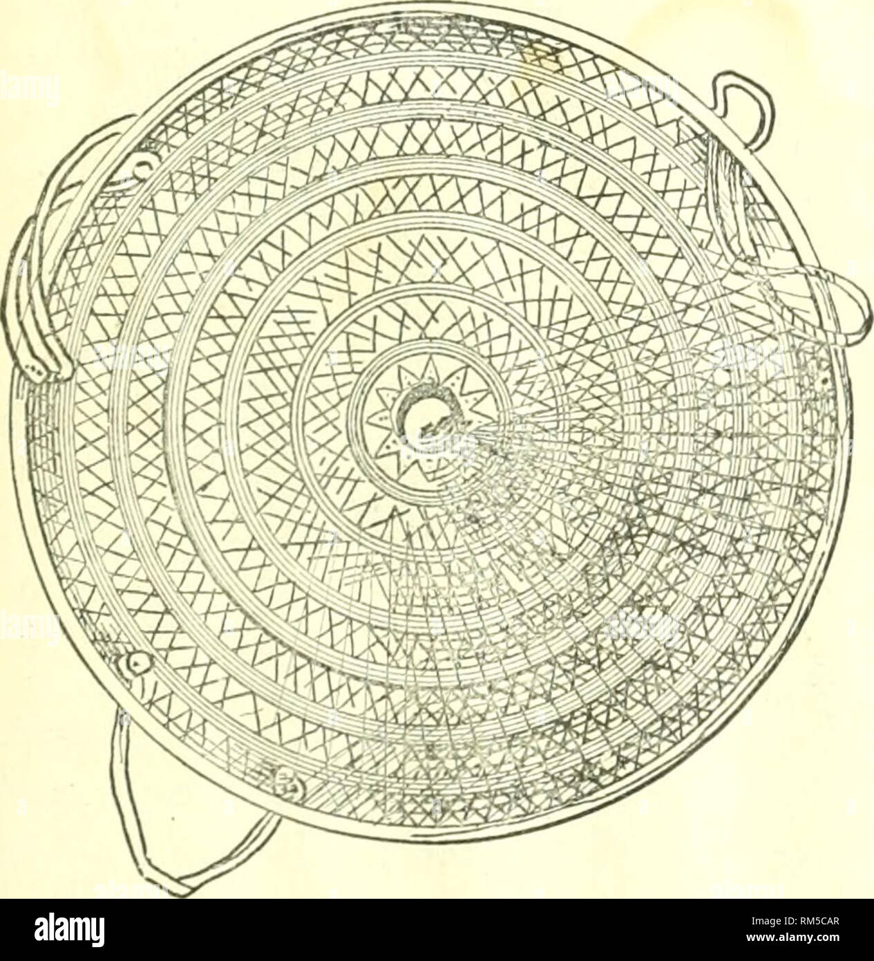 Oblong shield hi-res stock photography and images - Alamy