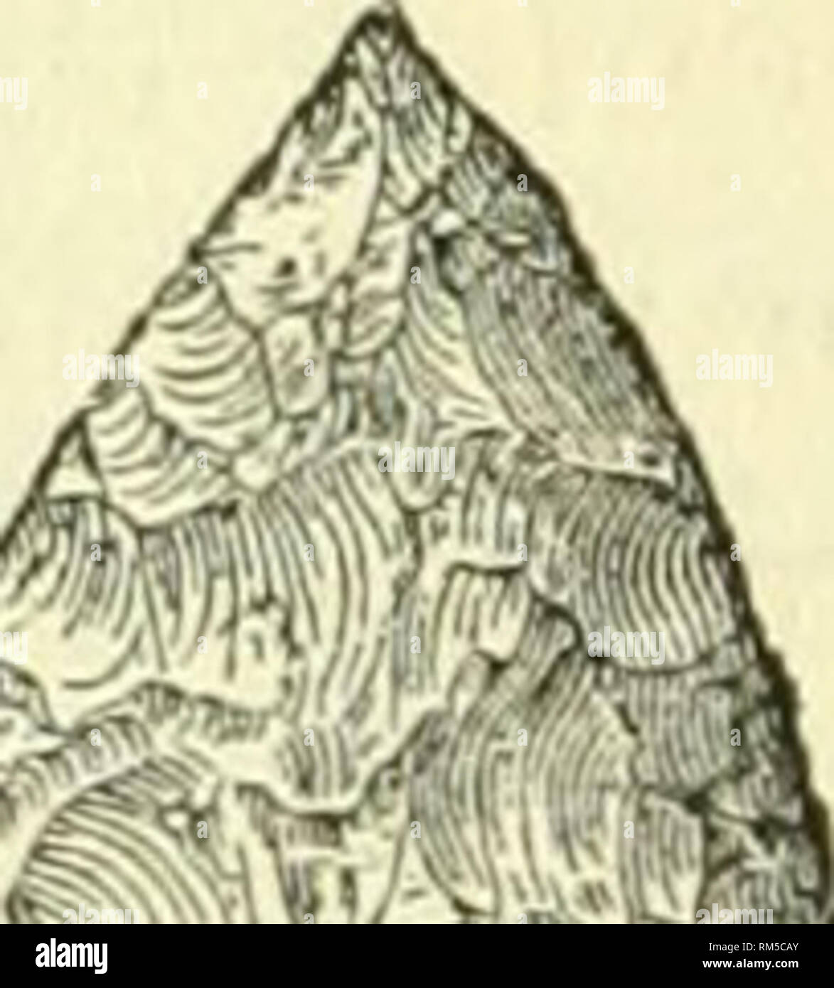 Bone awl hi-res stock photography and images - Alamy