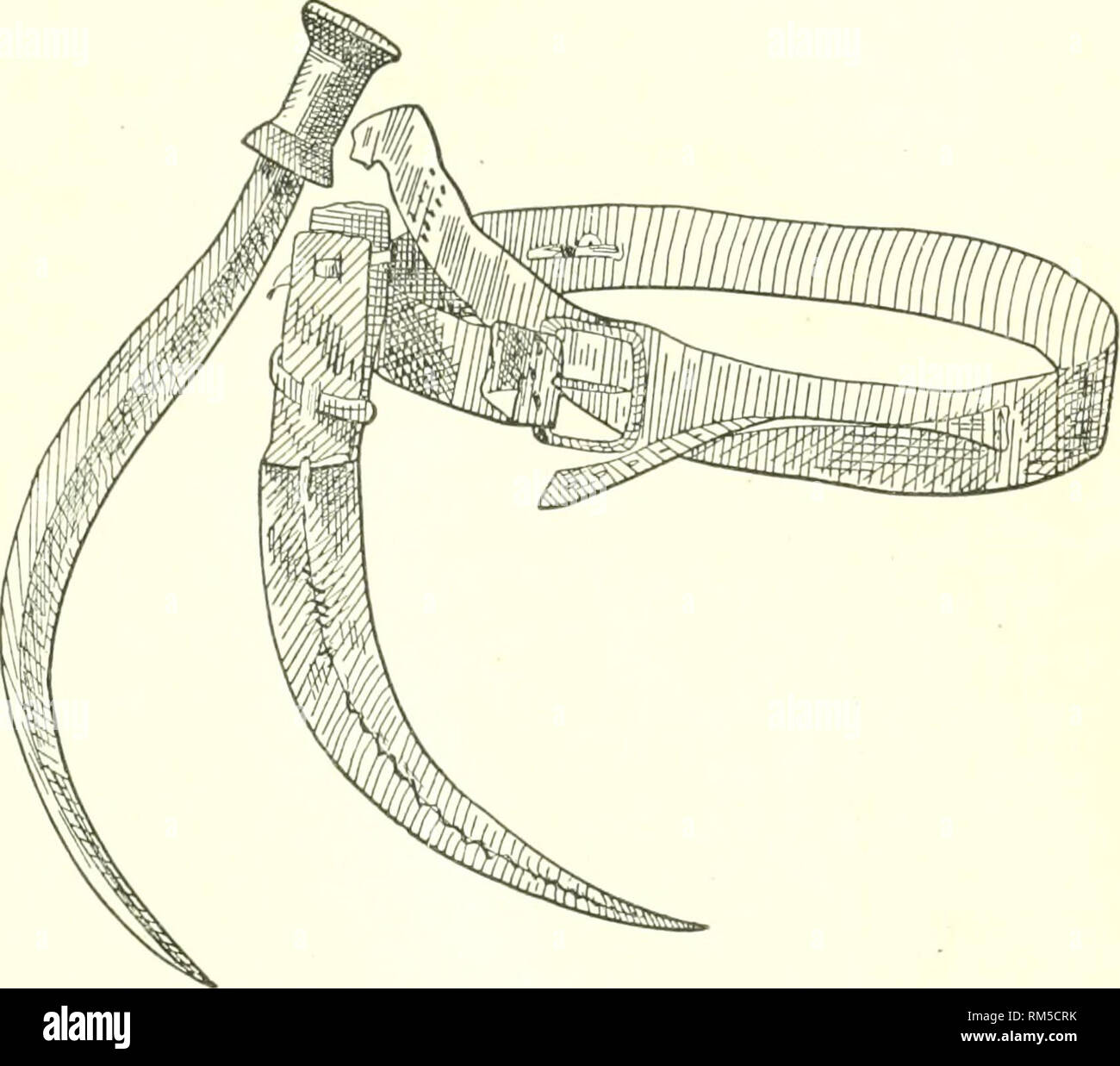 Cimeter hi-res stock photography and images - Alamy