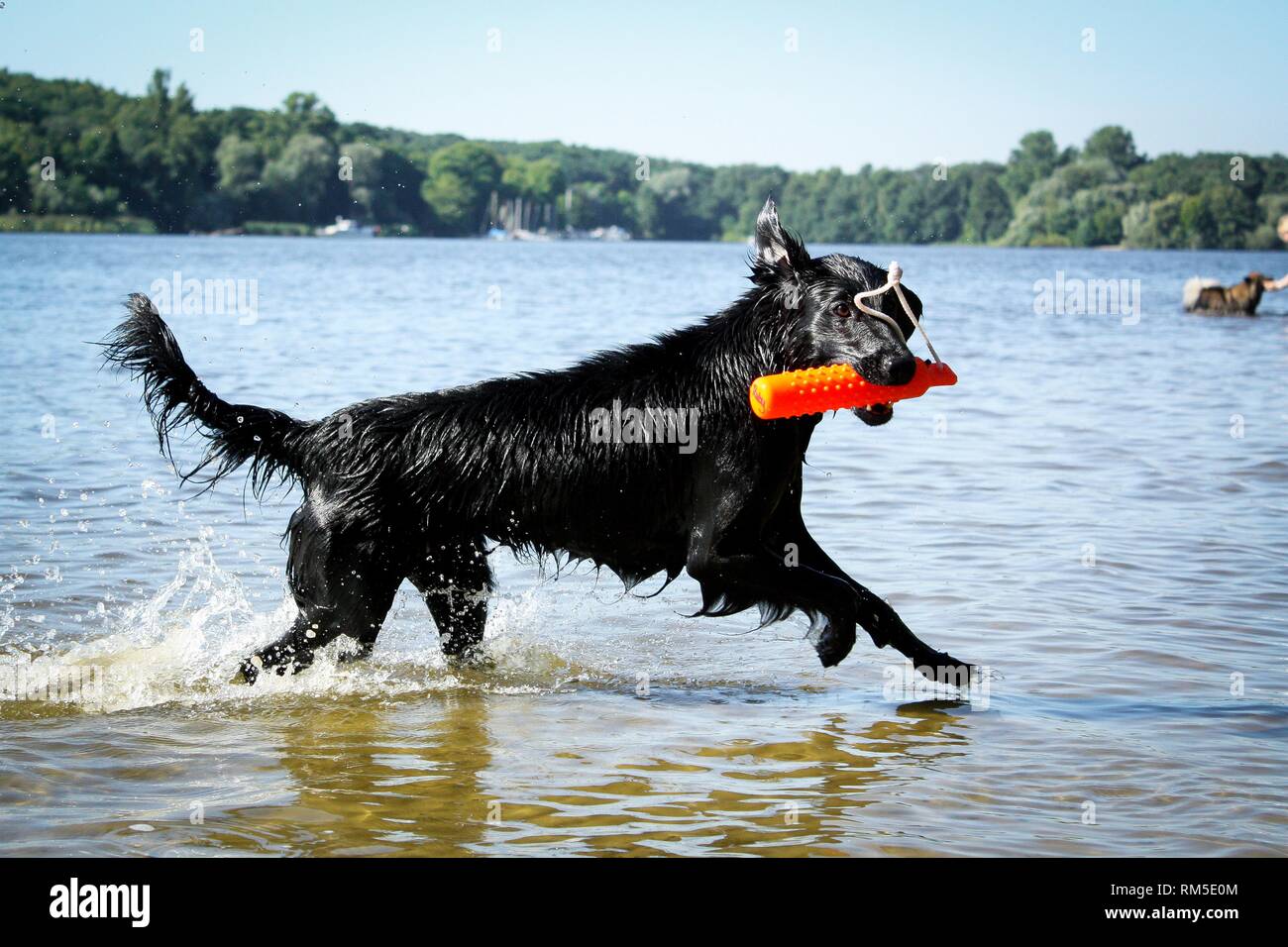 Plastic dummy hi-res stock photography and images - Alamy