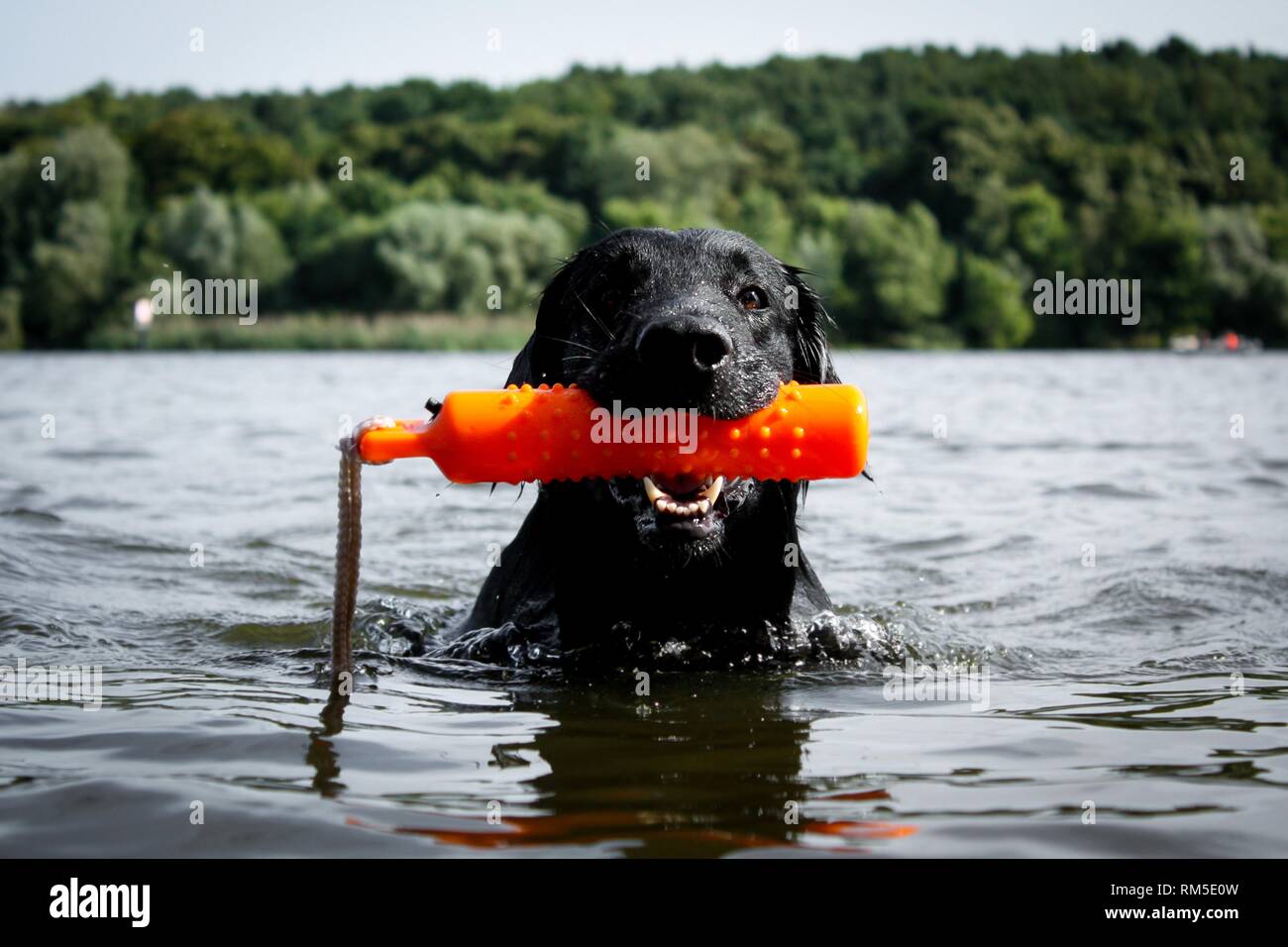 Plastic dummy hi-res stock photography and images - Alamy
