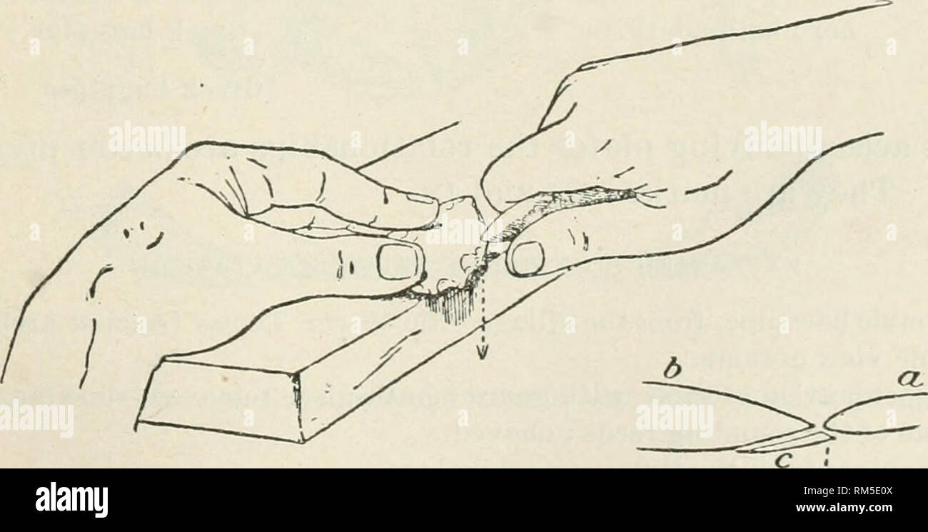 Pressure flaking hi-res stock photography and images - Alamy
