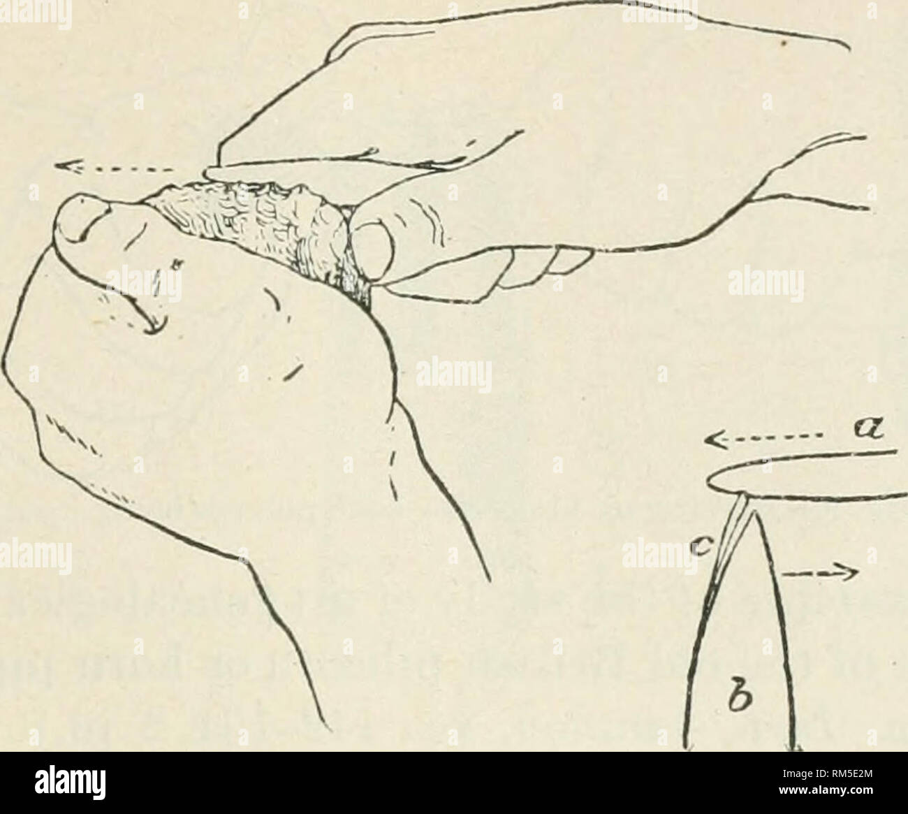 Pressure flaking hi-res stock photography and images - Alamy