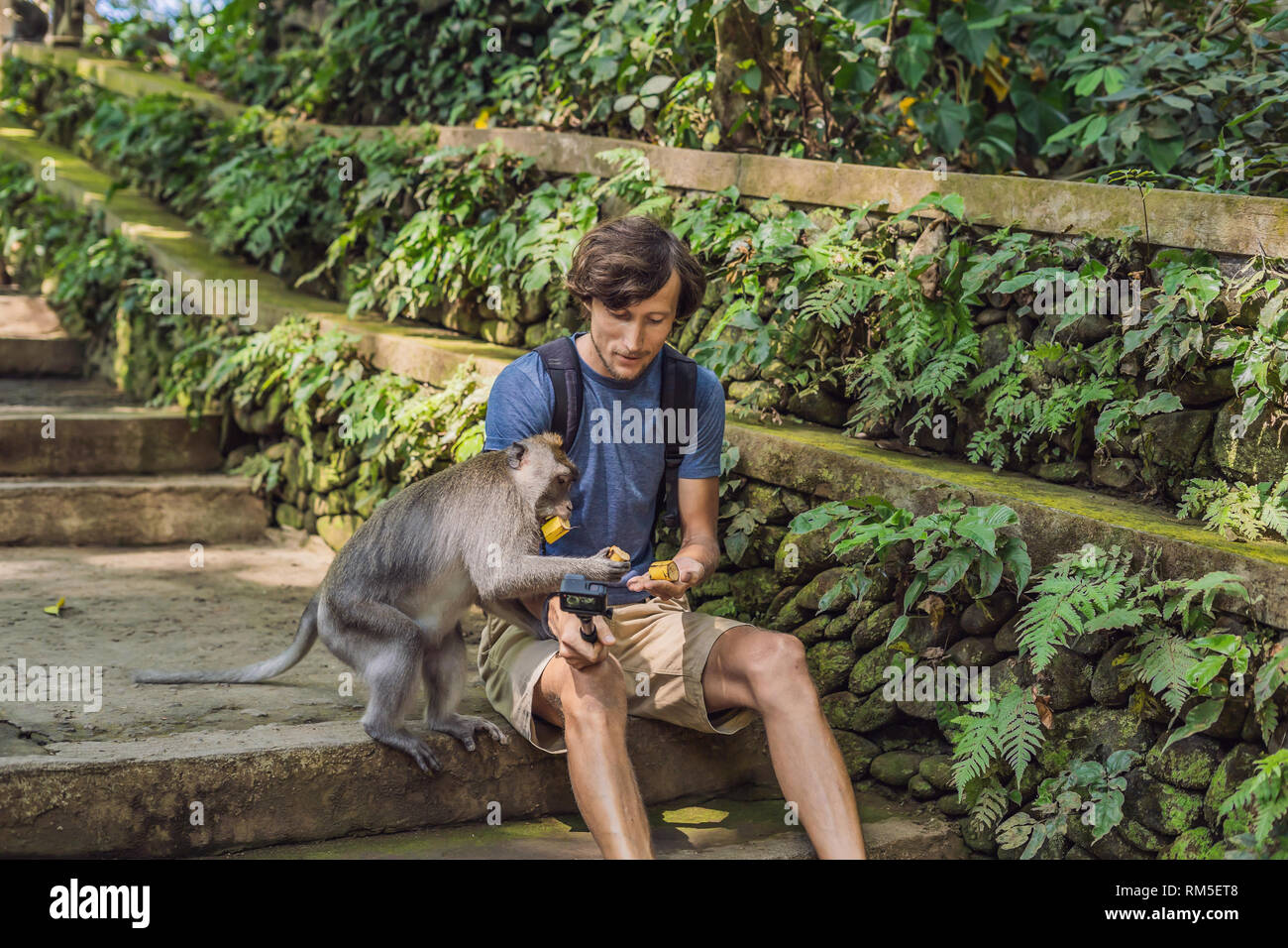 Monkey selfie hi-res stock photography and images - Alamy