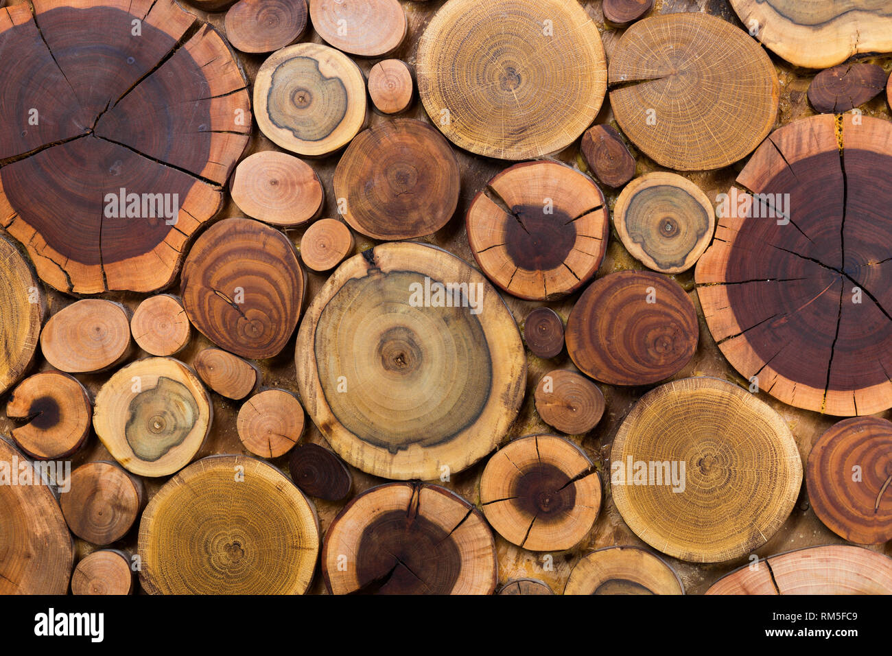 Round wooden unpainted solid natural ecological soft colored brown and ...