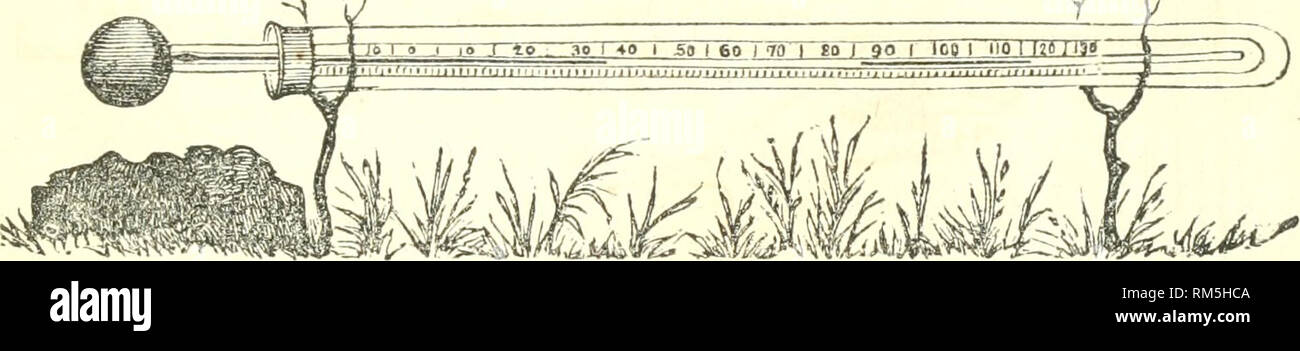 . Annual report of the Board of Regents of the Smithsonian Institution ...