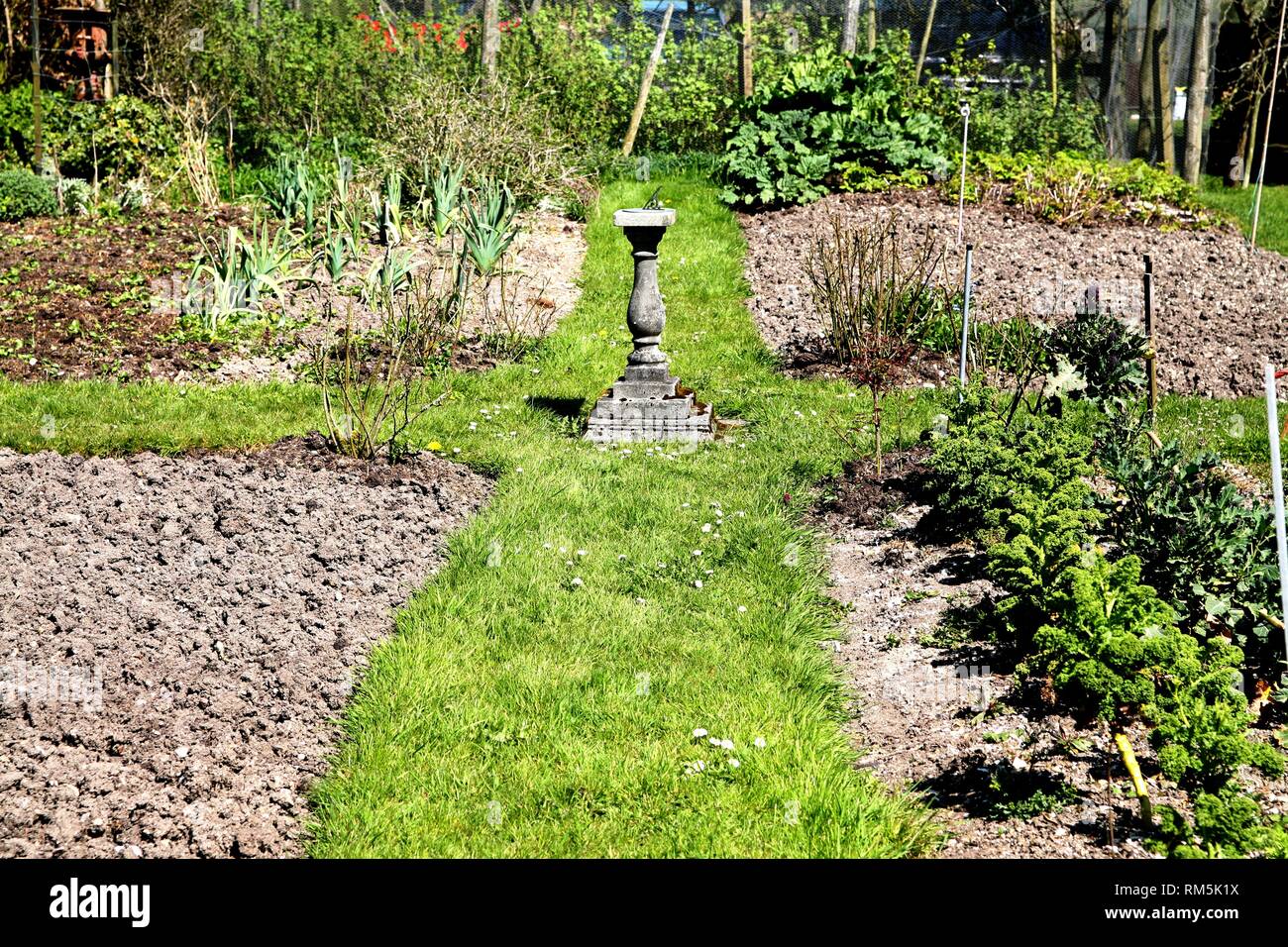 Early spring vegetable hi-res stock photography and images - Alamy