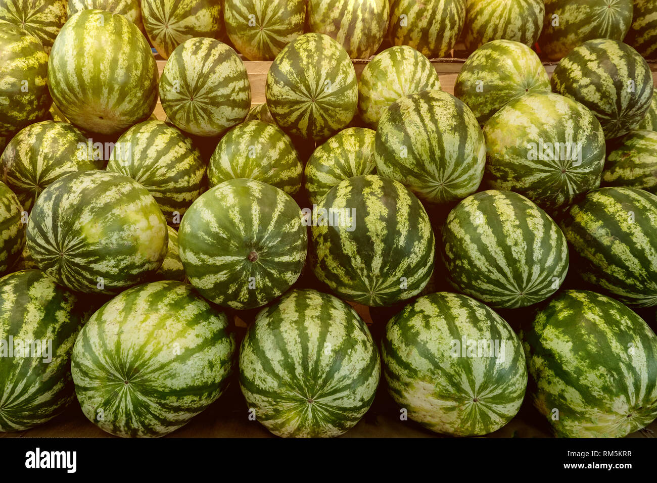 Many big sweet green watermelons at fruit market Stock Photo - Alamy