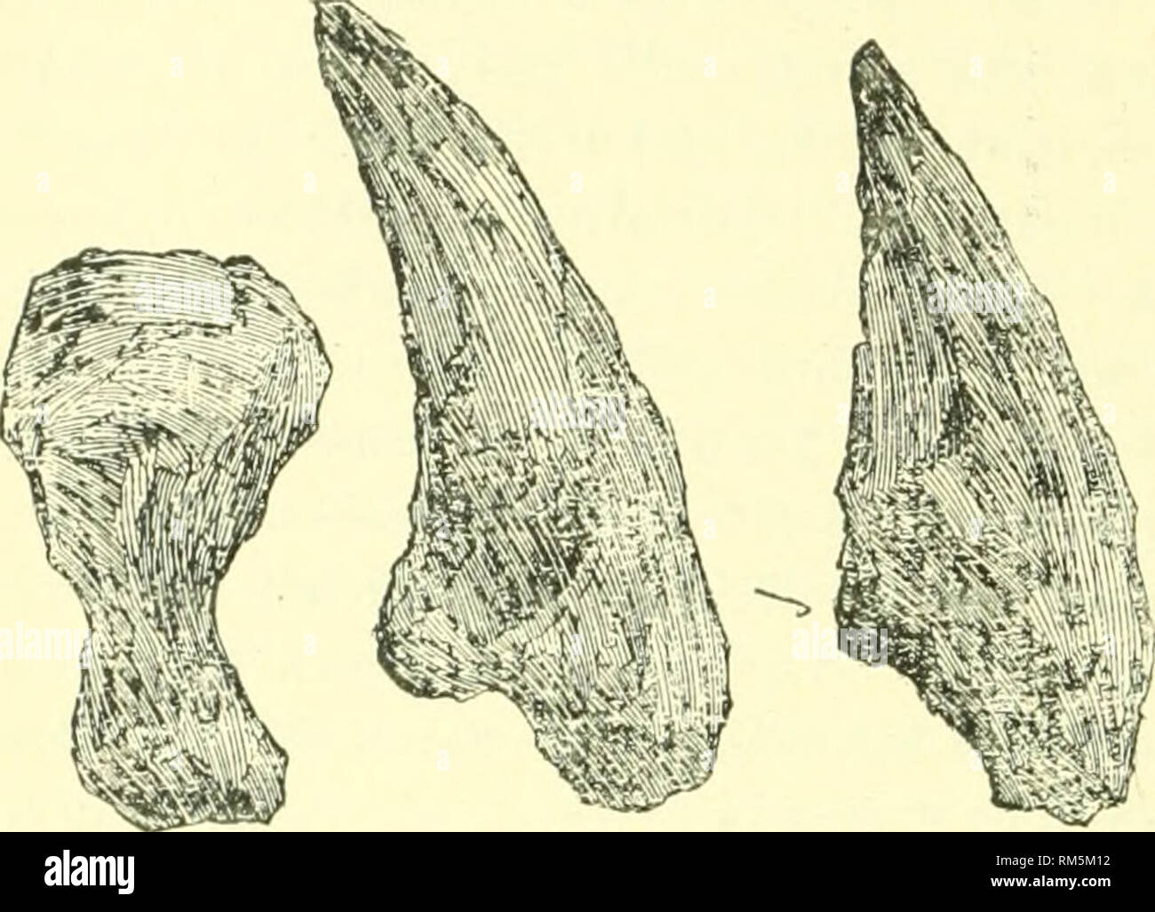 . Annual report of the Board of Regents of the Smithsonian Institution ...