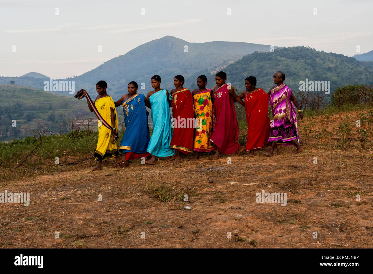 Dhimsa dance hi-res stock photography and images - Alamy