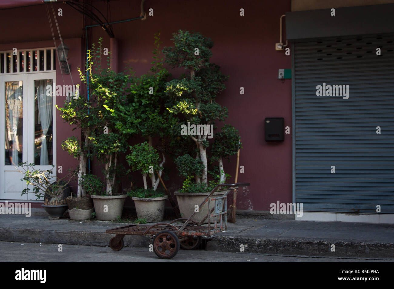 Metallic trolley, potted trees and broom in front of burgundy wall with ...