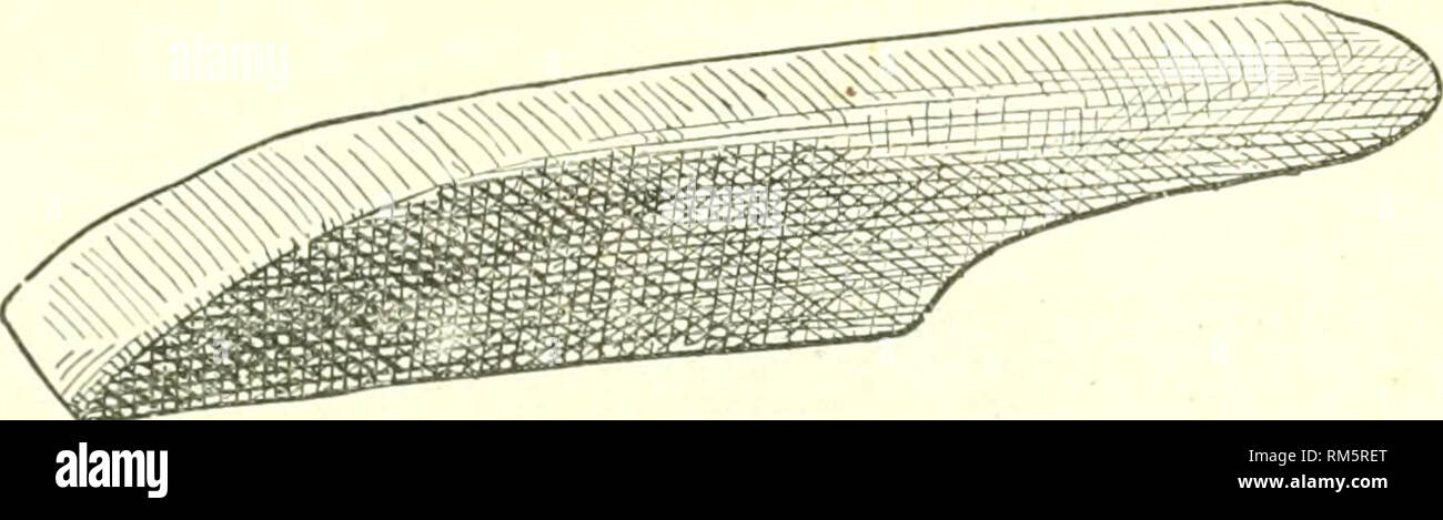 Adze basalt hi-res stock photography and images - Alamy