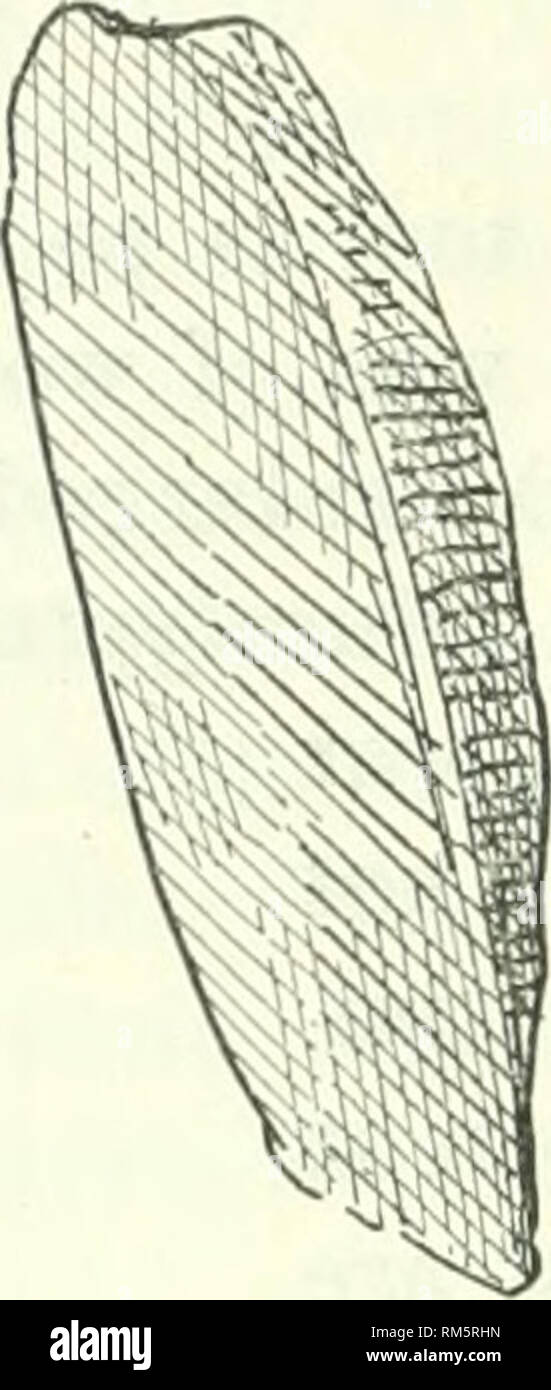 Basalt stone cutting hi-res stock photography and images - Alamy