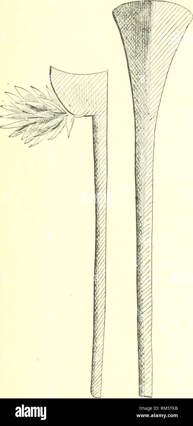 Maori club weapon hi-res stock photography and images - Alamy