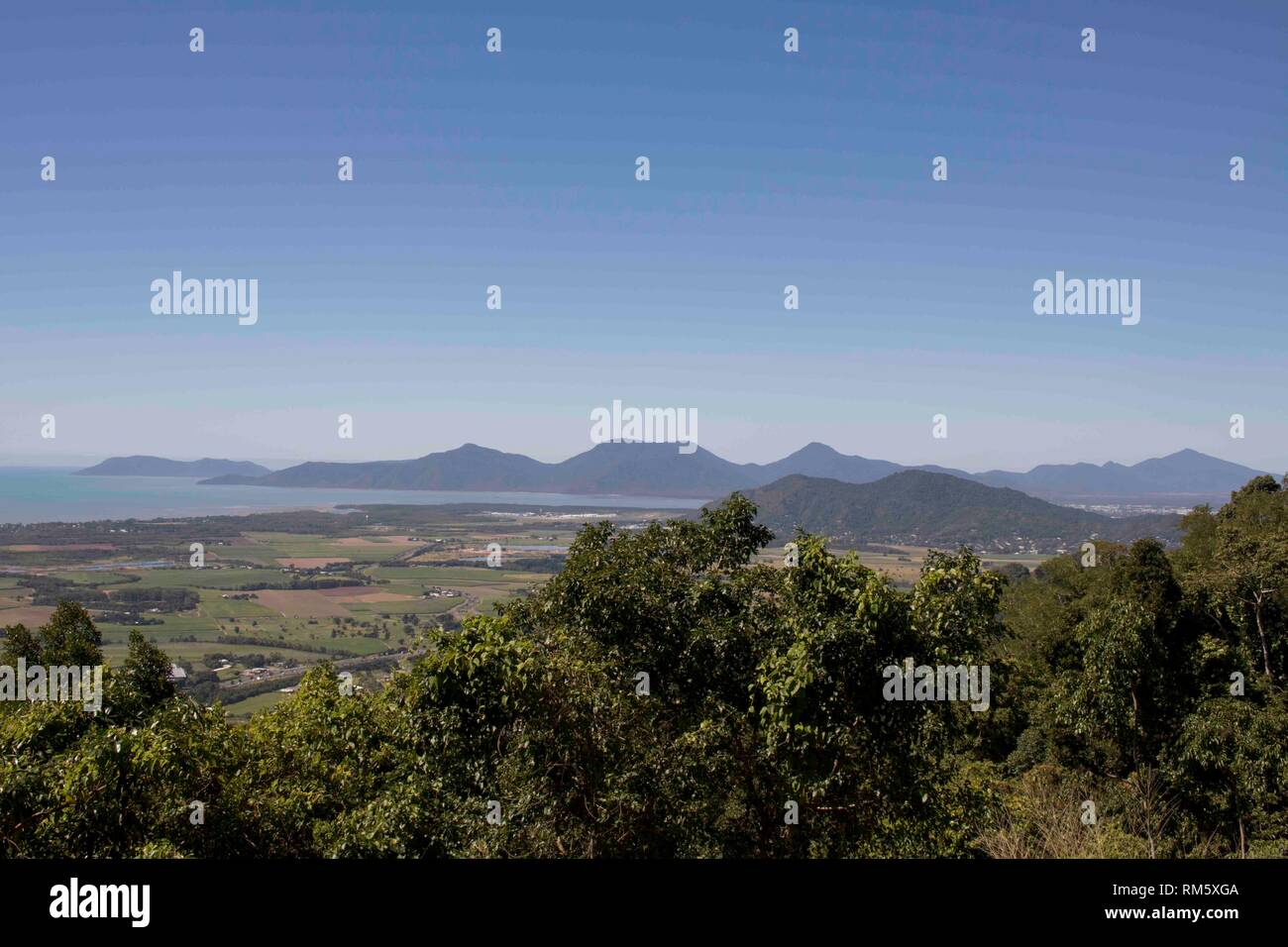 Blue mountain australia trees hi-res stock photography and images - Alamy