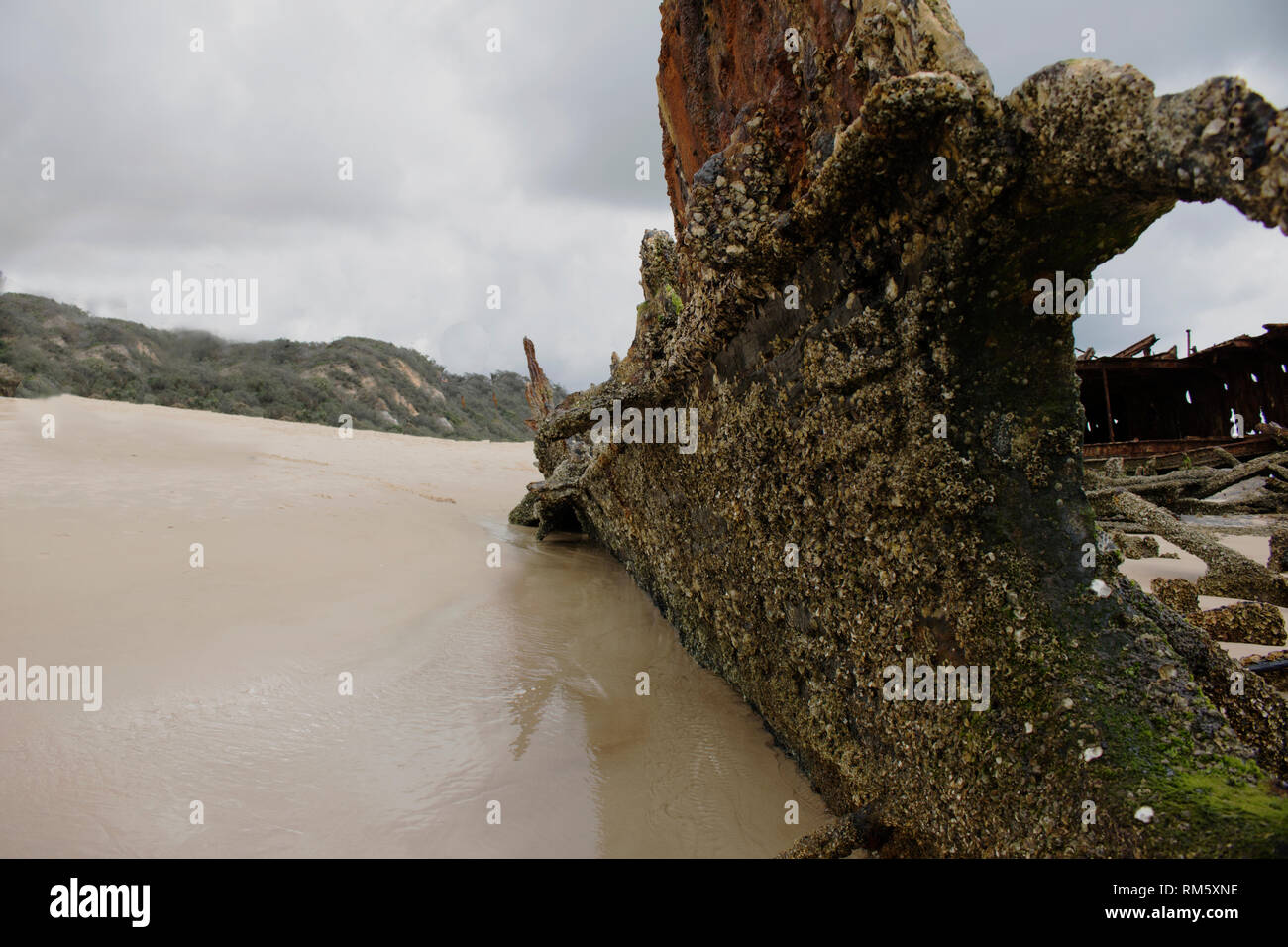 S.S Maheno shipwreck on Fraser Island, Australia Stock Photo - Alamy