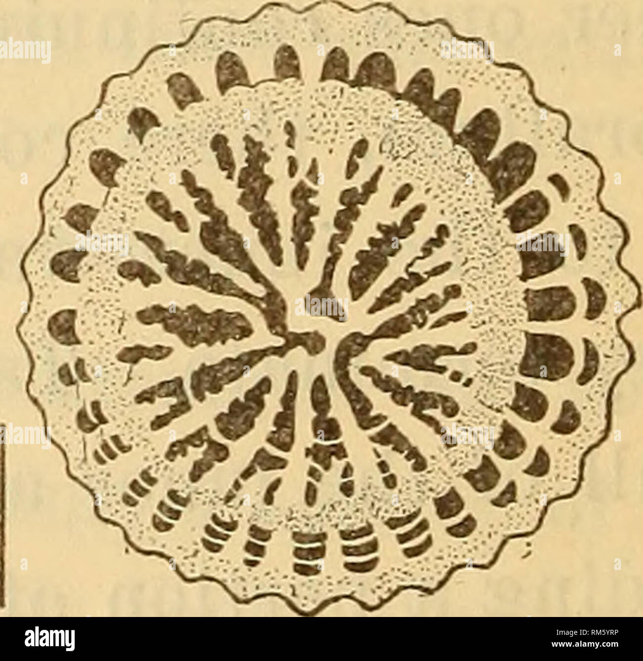 . Annual report of the Regents. New York State Museum; Science. 15. Fig ...