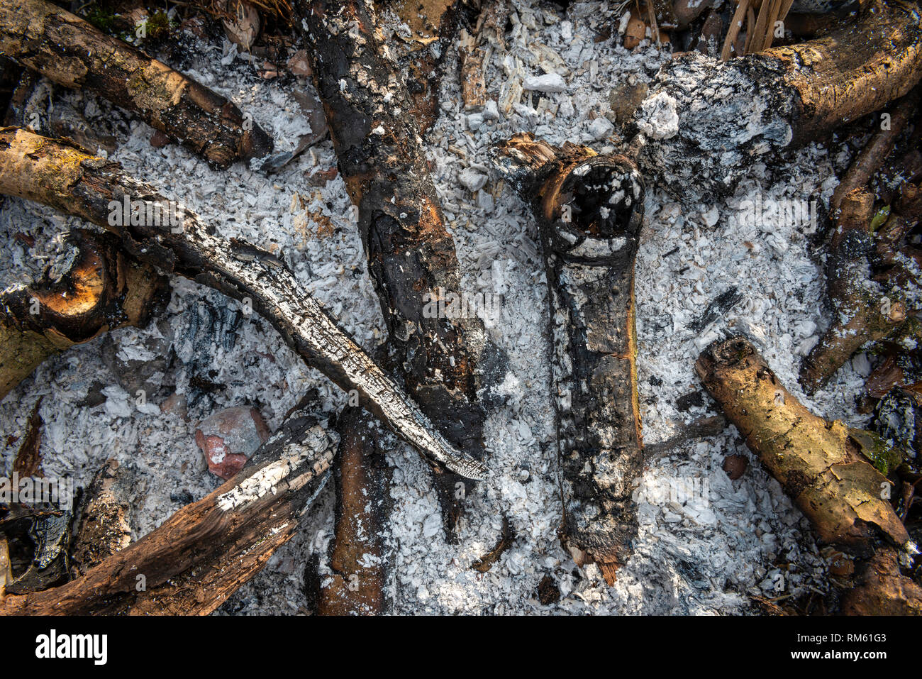 Remains of a small fire on a pebble beach Stock Photo - Alamy