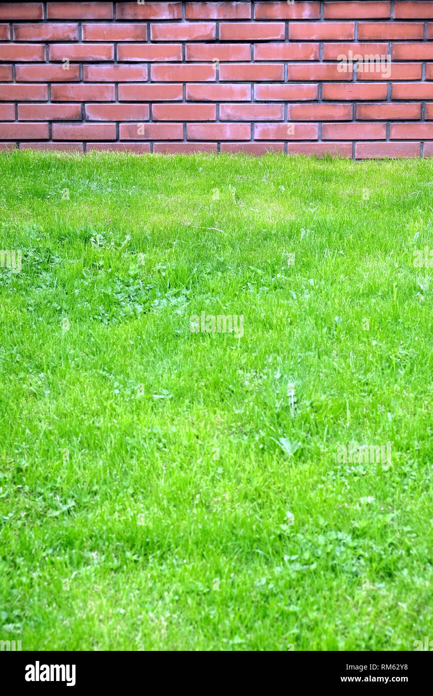 Green grass before red brick wall in city park on spring day front view ...