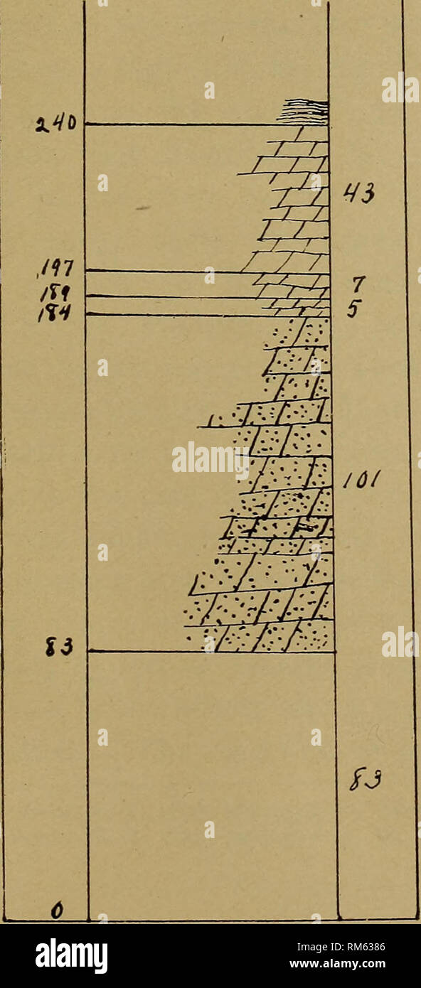 Lyon bean hi-res stock photography and images - Alamy